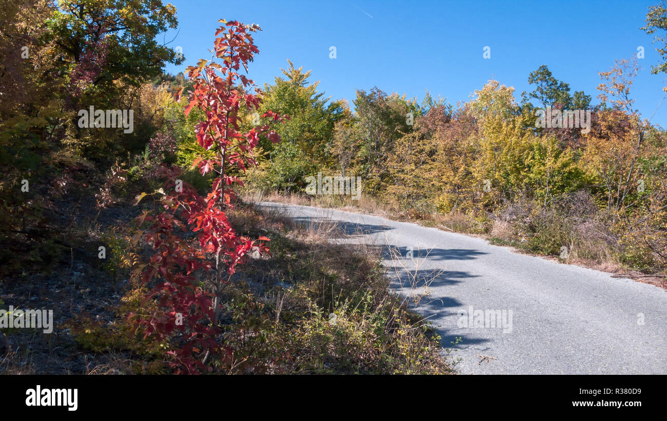 Amazing Autumn landscape Ruen Mountain- northern part of Vlahina ...