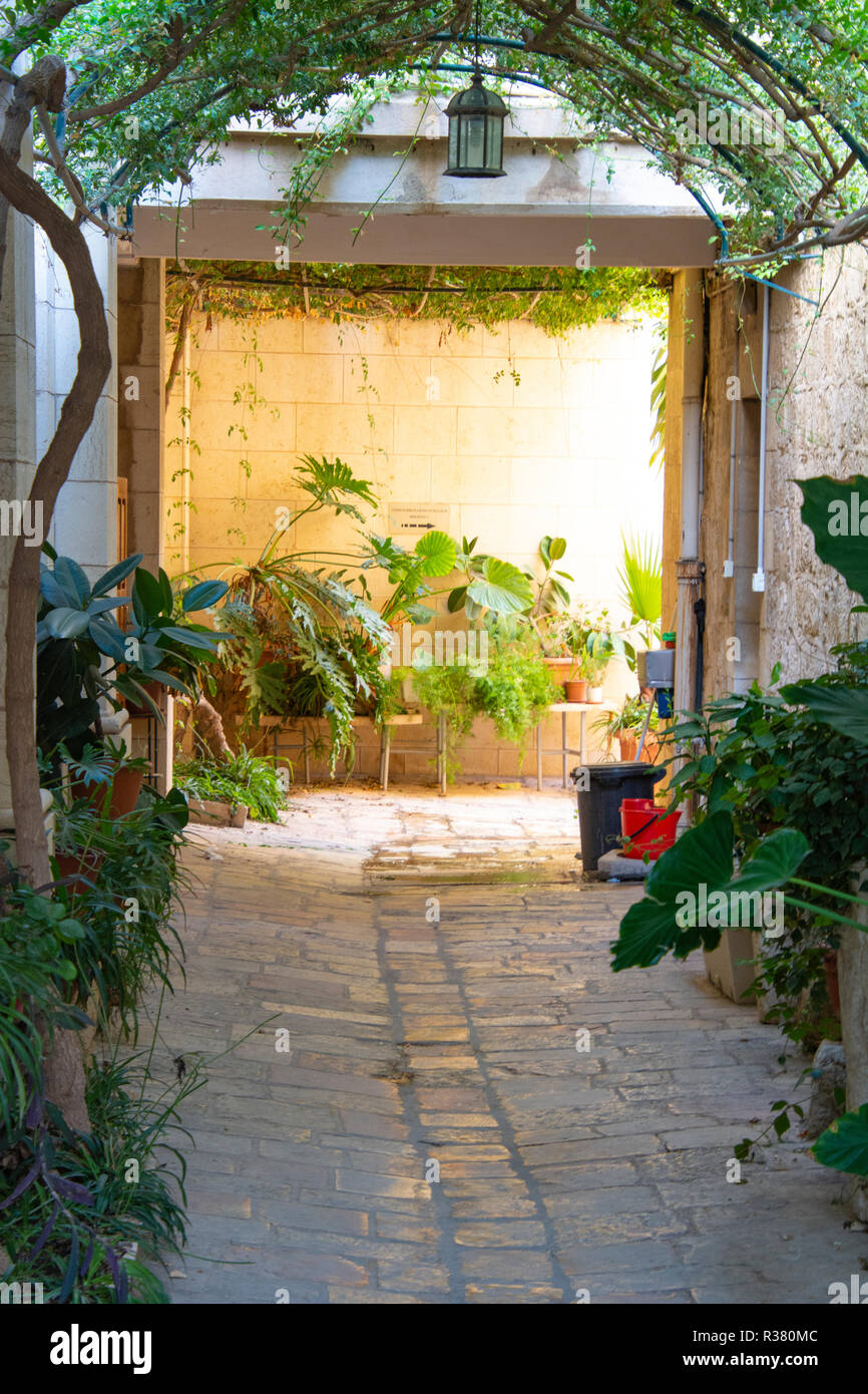 A sun-dappled private lane in a church courtyard Stock Photo - Alamy