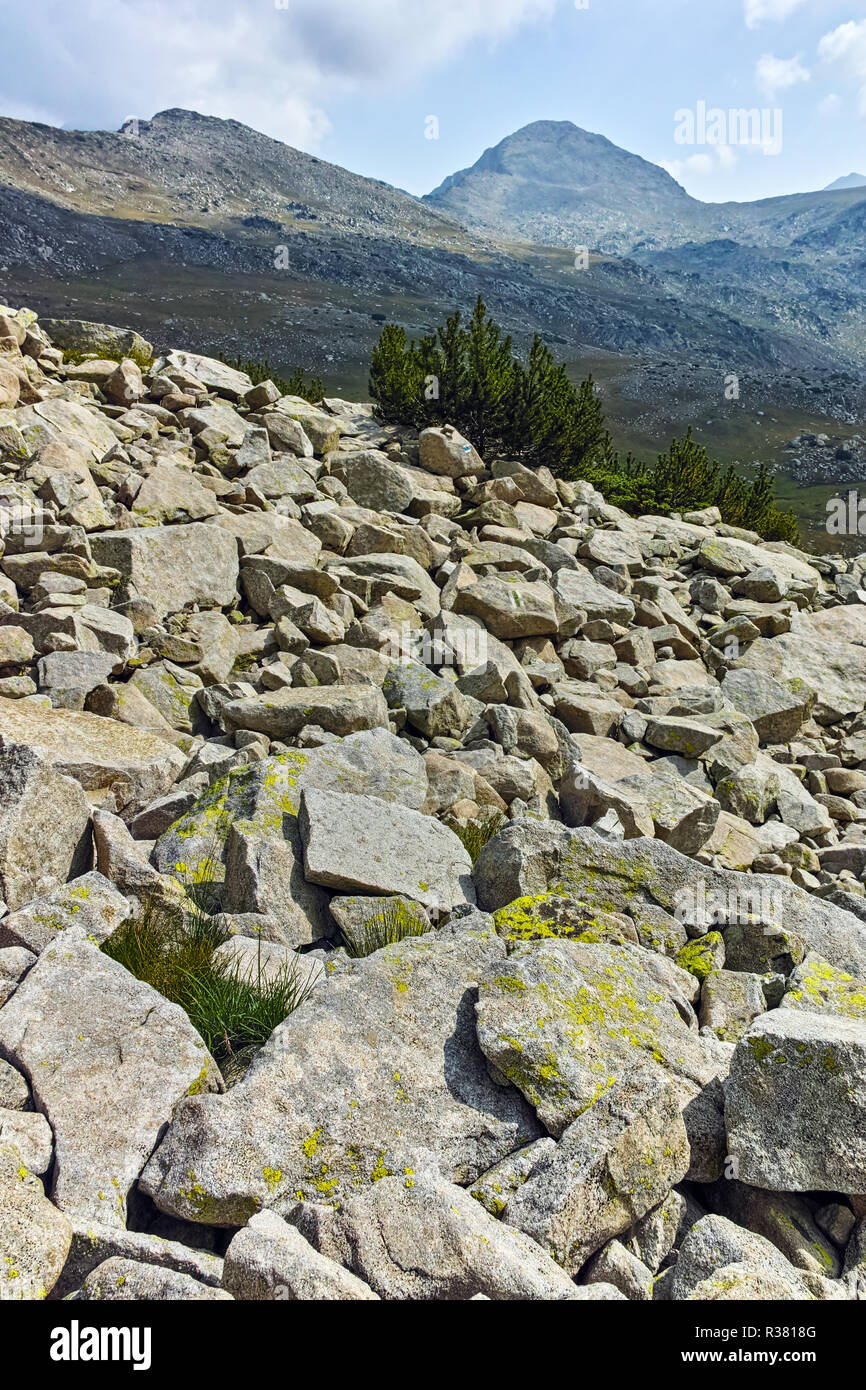 Summer landscape of Spano pole, Pirin National park, Bulgaria Stock ...