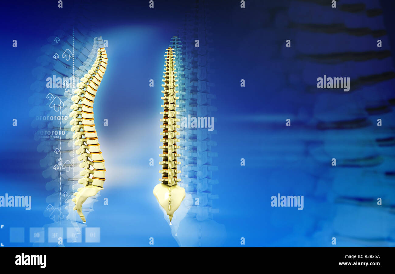 Thoracic canal hi-res stock photography and images - Alamy