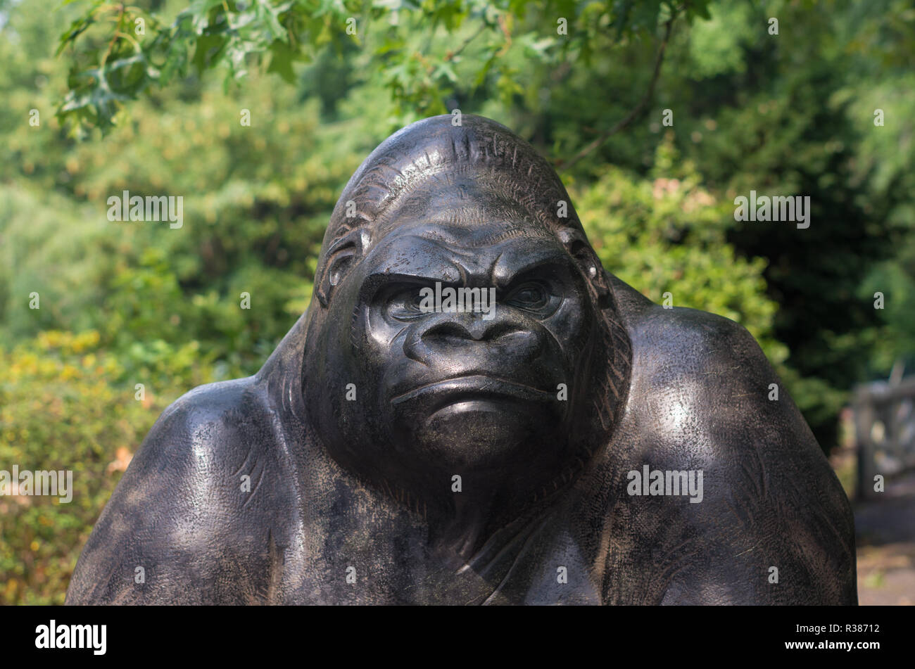 Ape talk hi-res stock photography and images - Alamy