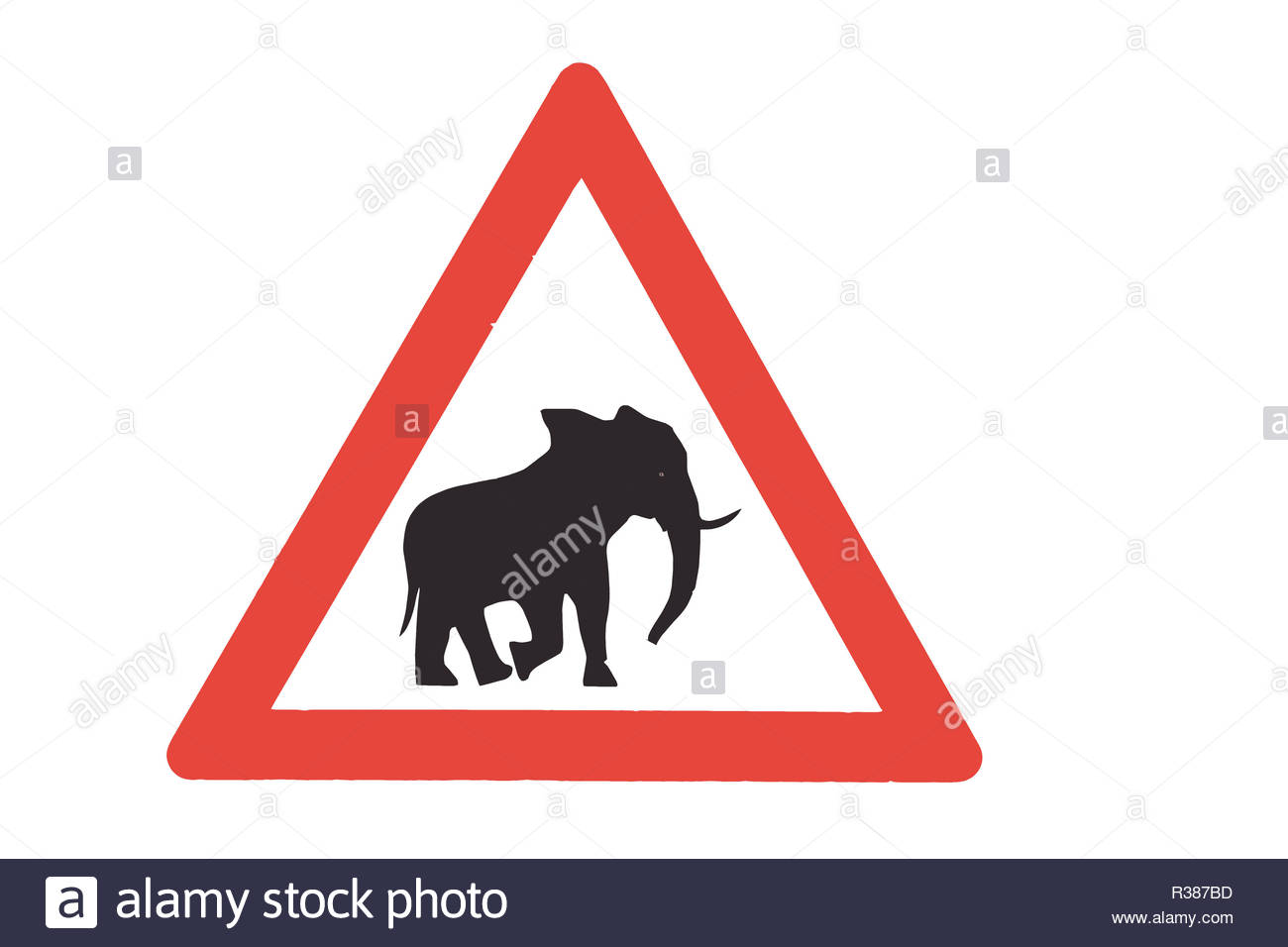 Elephant Crossing The Stock Photos & Elephant Crossing The Stock Images ...
