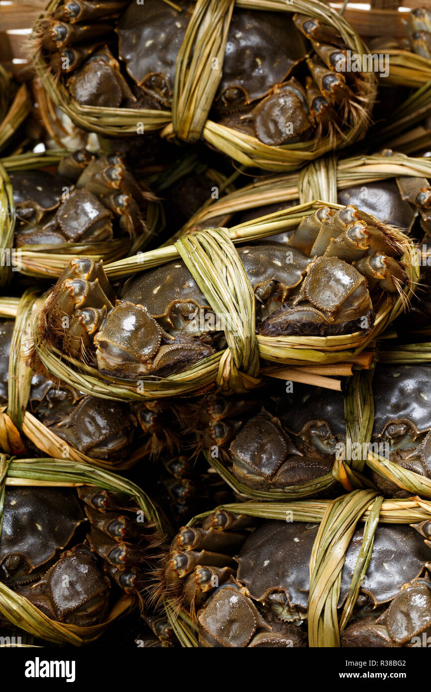 Mitten crabs hi-res stock photography and images - Alamy