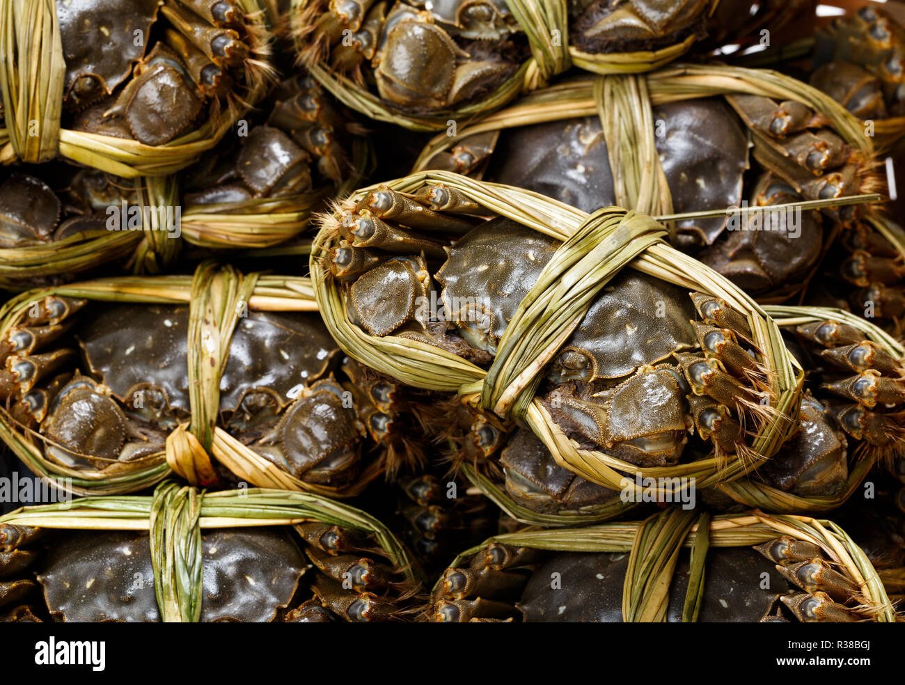 Chinese mitten crab meal hi-res stock photography and images - Alamy