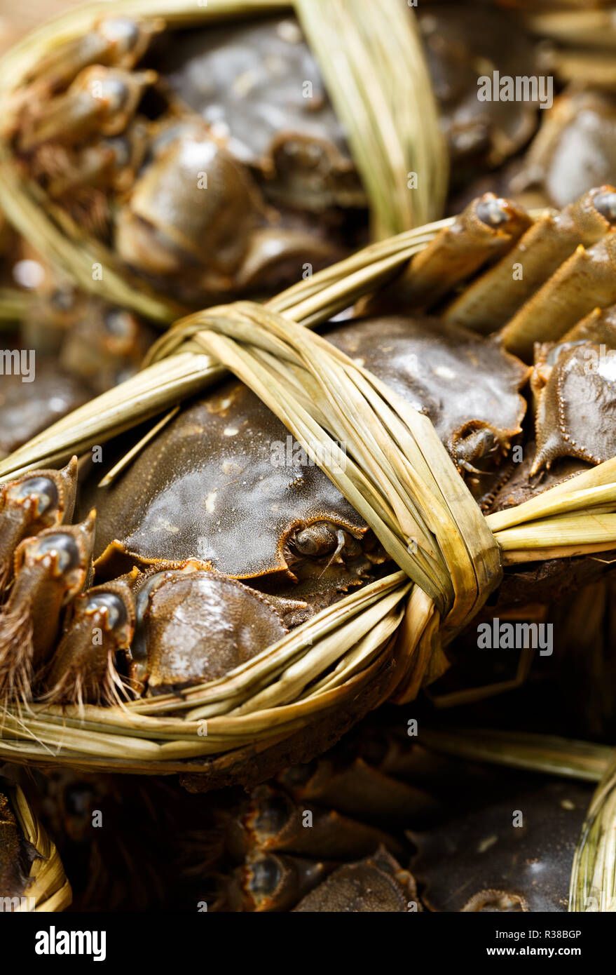 Hairy crab roe hi-res stock photography and images - Alamy