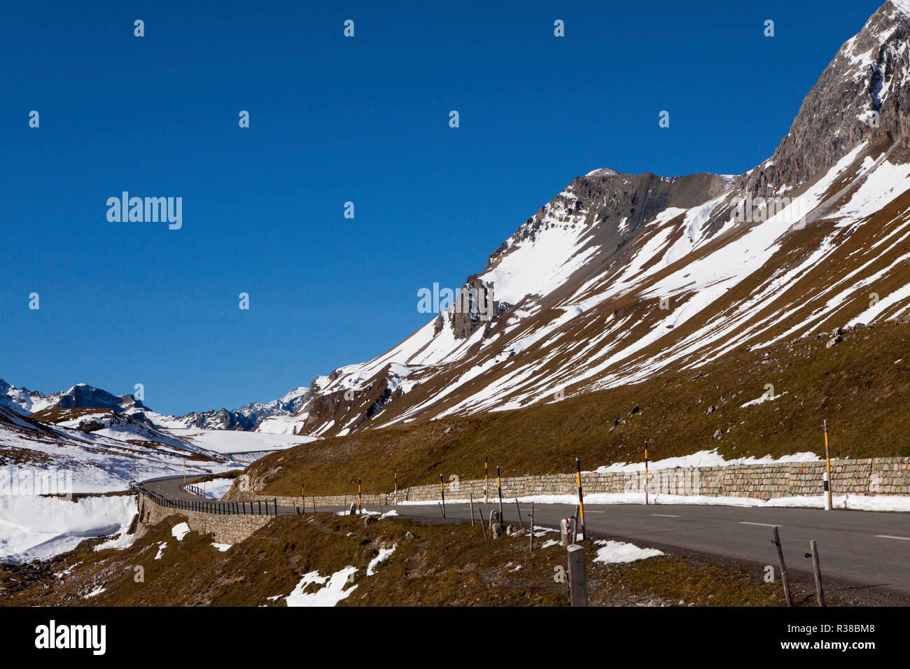 Albula passport hi-res stock photography and images - Alamy