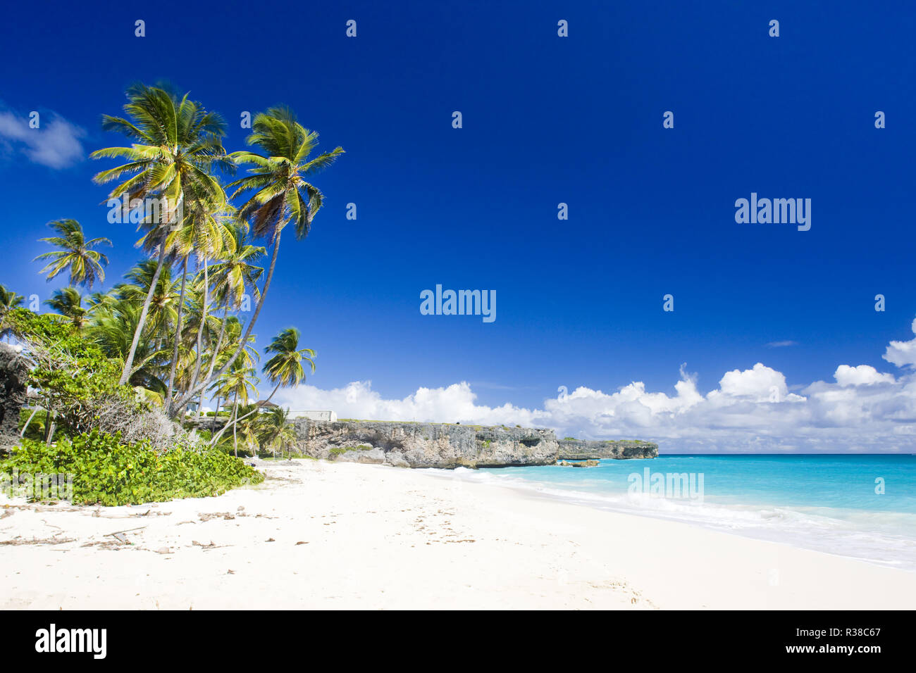 Bottom bay botany hi-res stock photography and images - Alamy