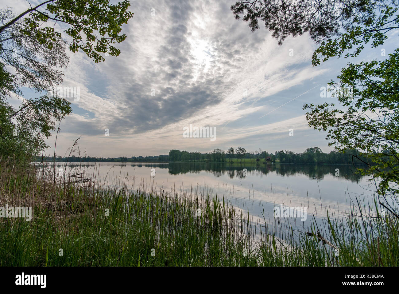 natural body of water. pond with reflections of trees and clouds in ...