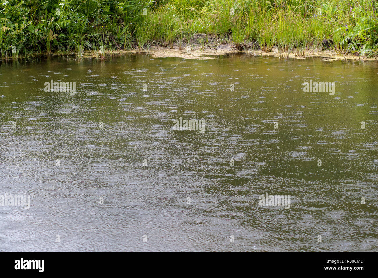 natural body of water. pond with reflections of trees and clouds in ...