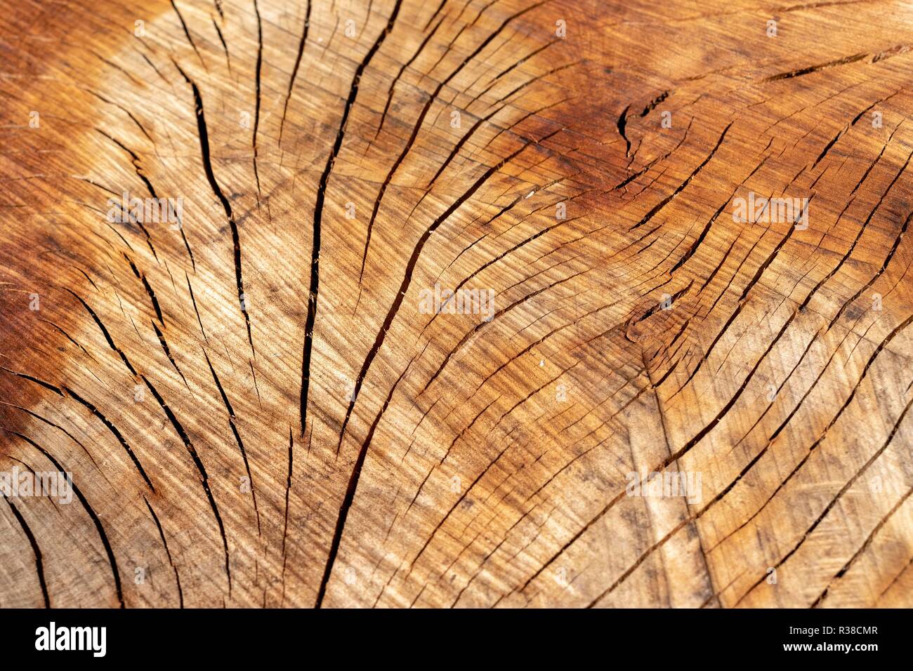 Vertical pattern of wooden structure for a background and texture Stock ...