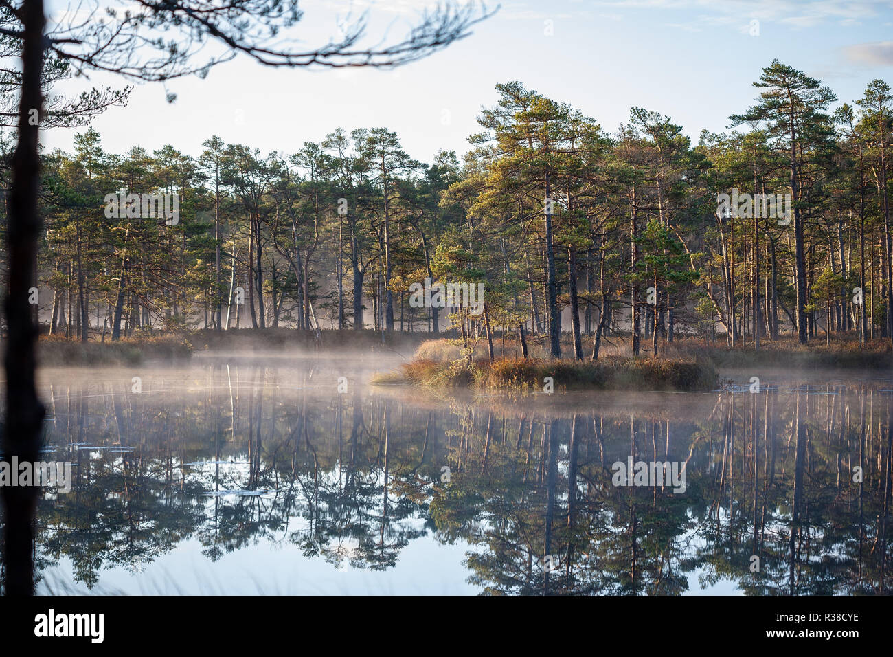 natural body of water. pond with reflections of trees and clouds in ...
