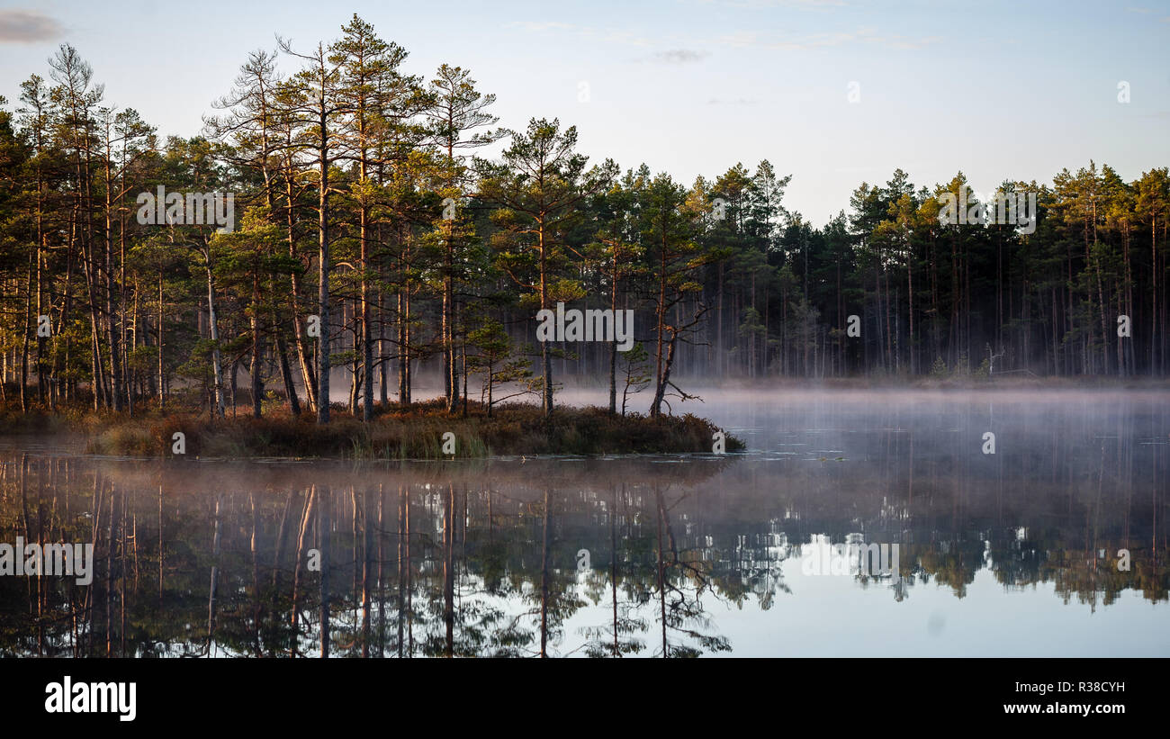 natural body of water. pond with reflections of trees and clouds in ...
