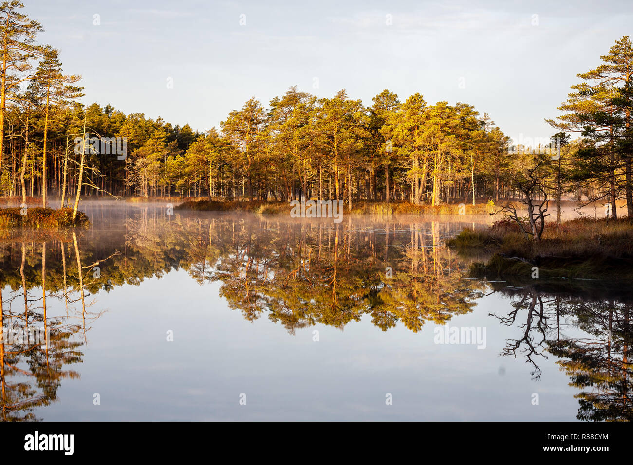 natural body of water. pond with reflections of trees and clouds in ...