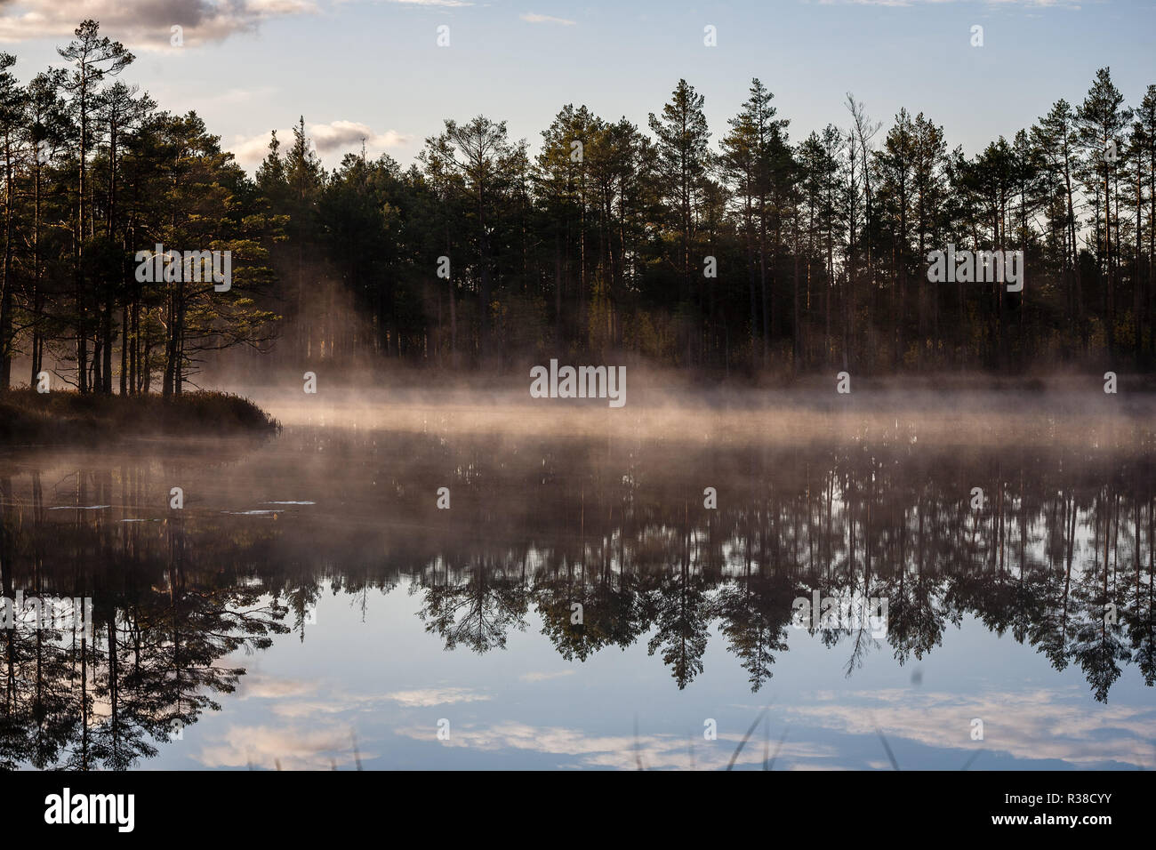 natural body of water. pond with reflections of trees and clouds in ...