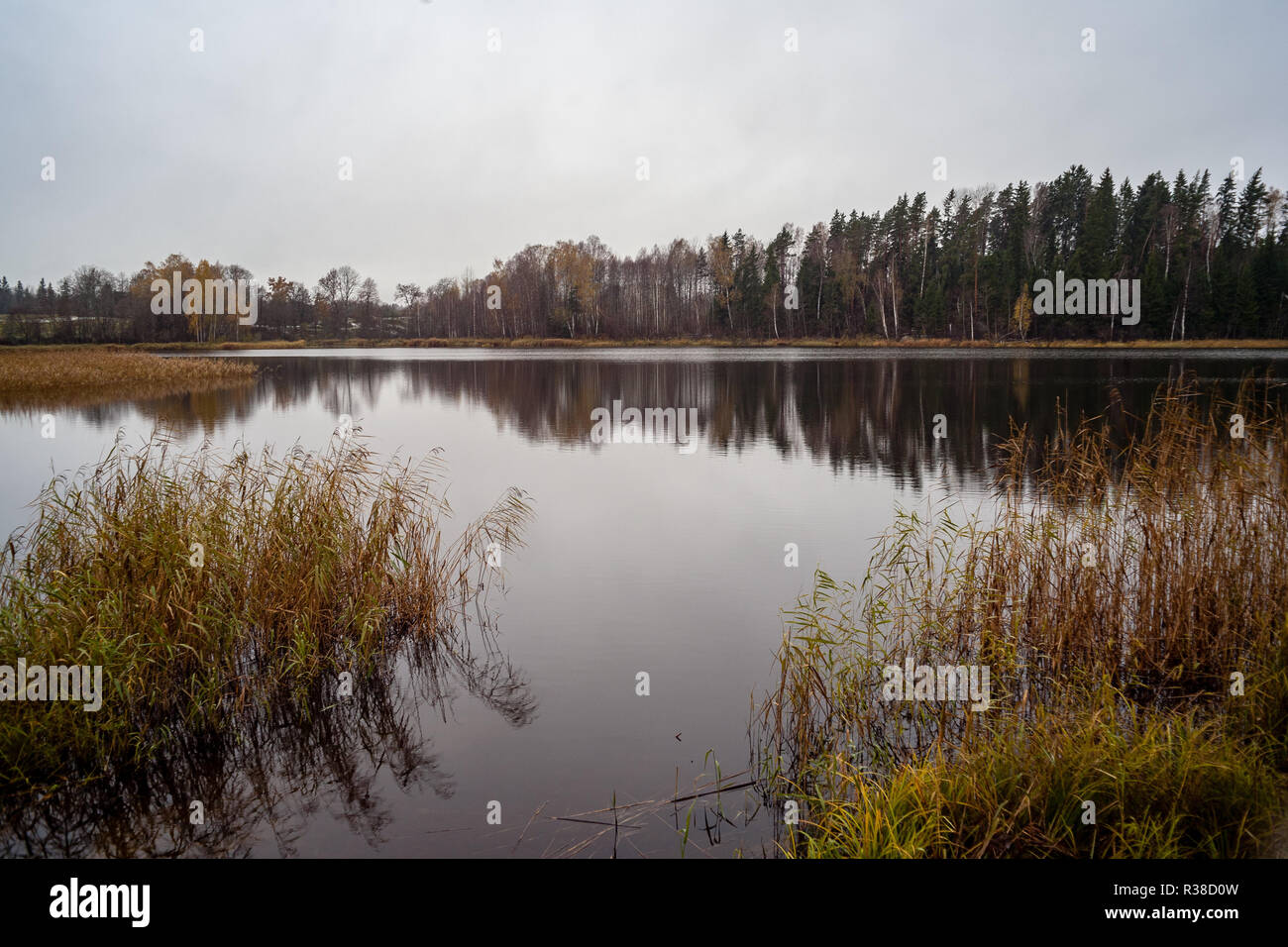 natural body of water. pond with reflections of trees and clouds in ...
