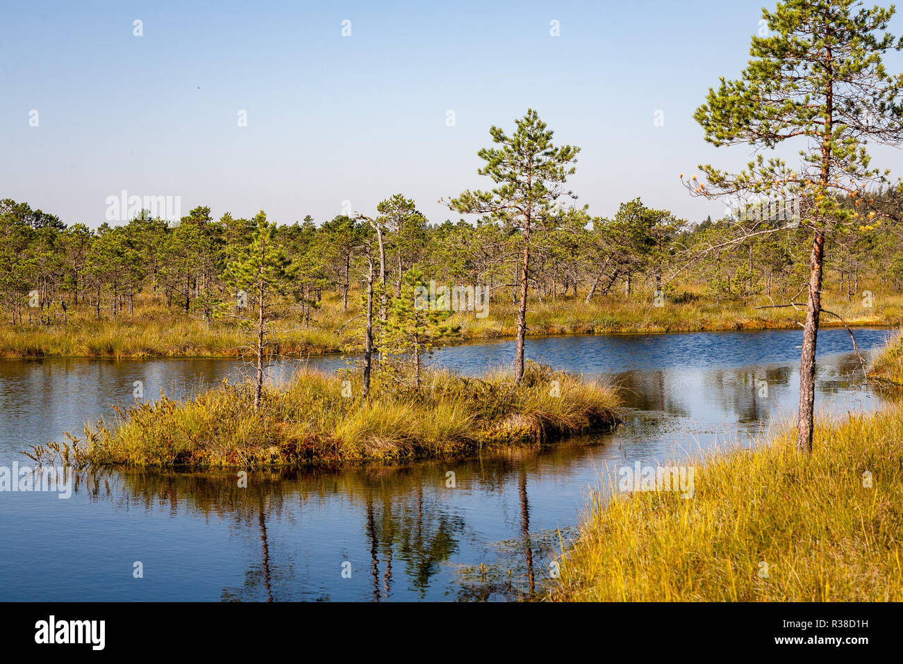 natural body of water. pond with reflections of trees and clouds in ...