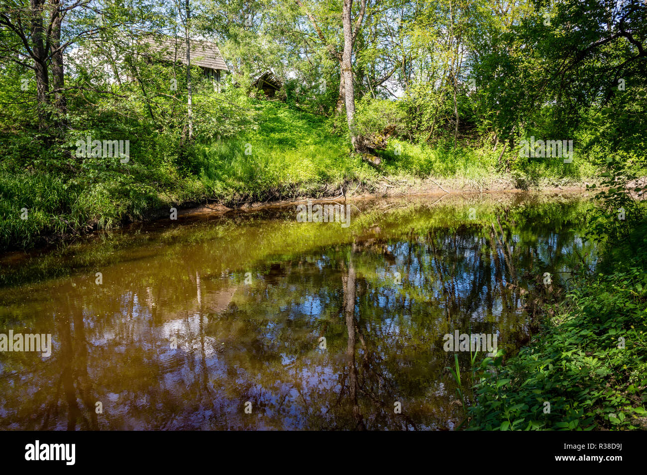 natural body of water. pond with reflections of trees and clouds in ...