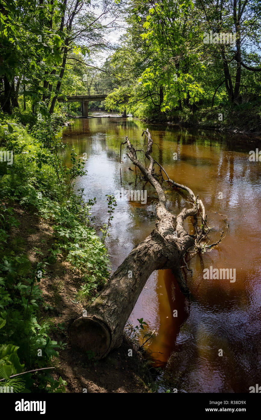 natural body of water. pond with reflections of trees and clouds in ...