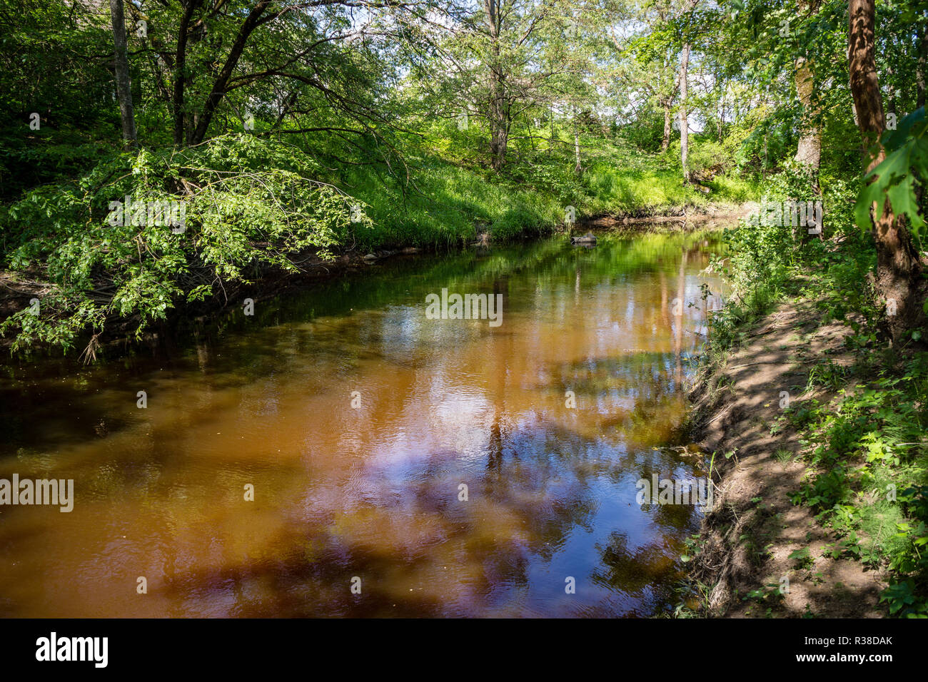 natural body of water. pond with reflections of trees and clouds in ...