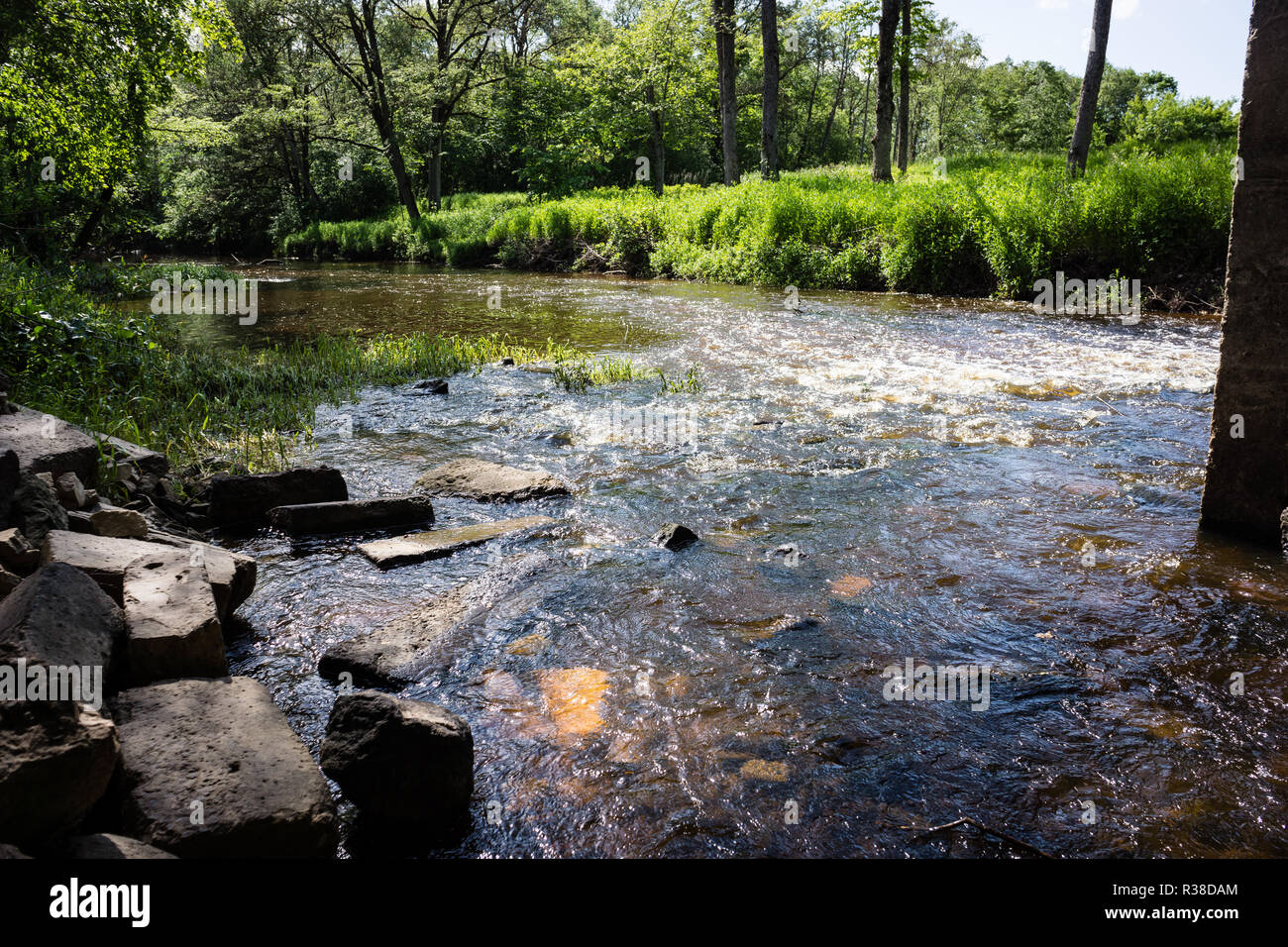 natural body of water. pond with reflections of trees and clouds in ...