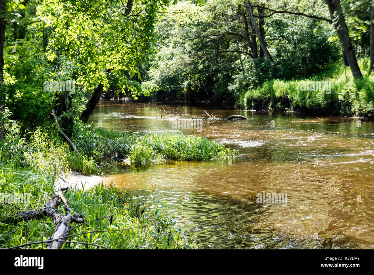 natural body of water. pond with reflections of trees and clouds in ...