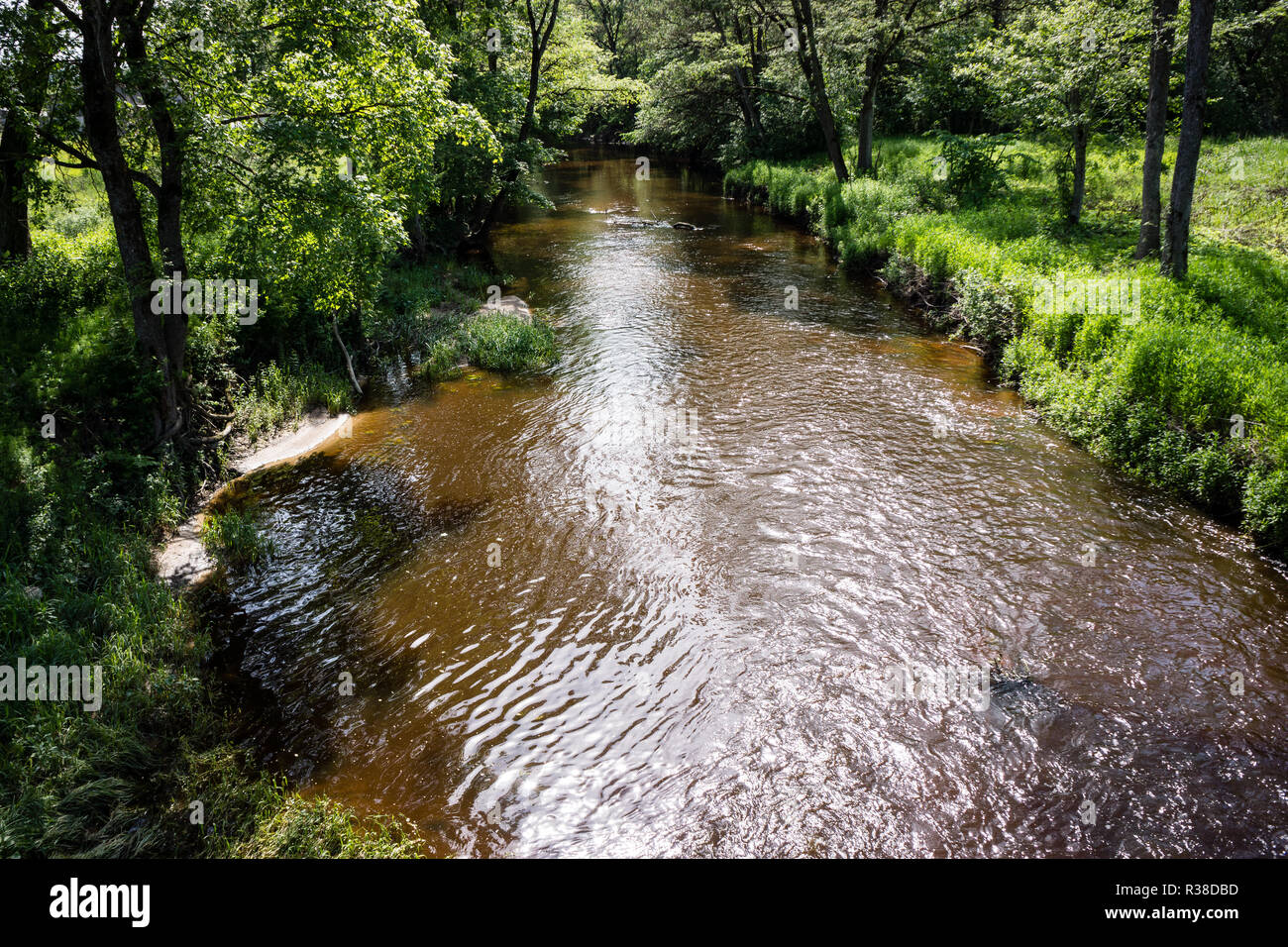natural body of water. pond with reflections of trees and clouds in ...