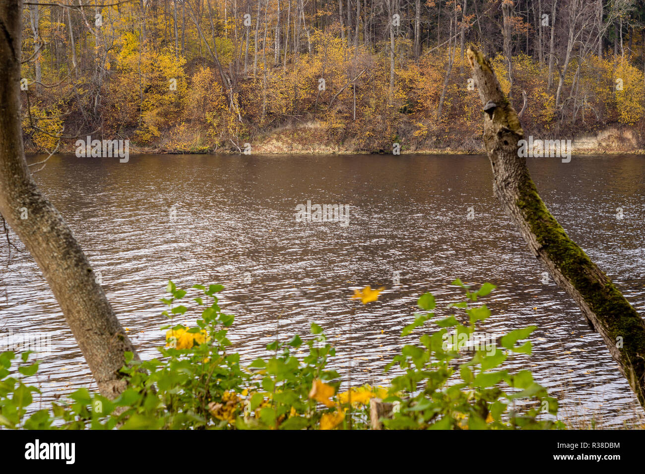 natural body of water. pond with reflections of trees and clouds in ...