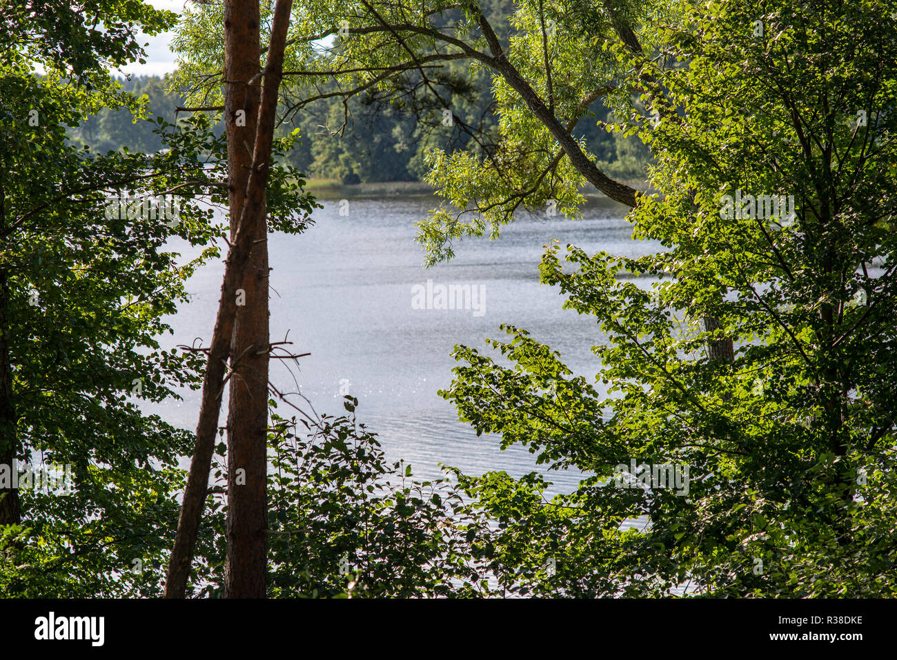 natural body of water. pond with reflections of trees and clouds in ...