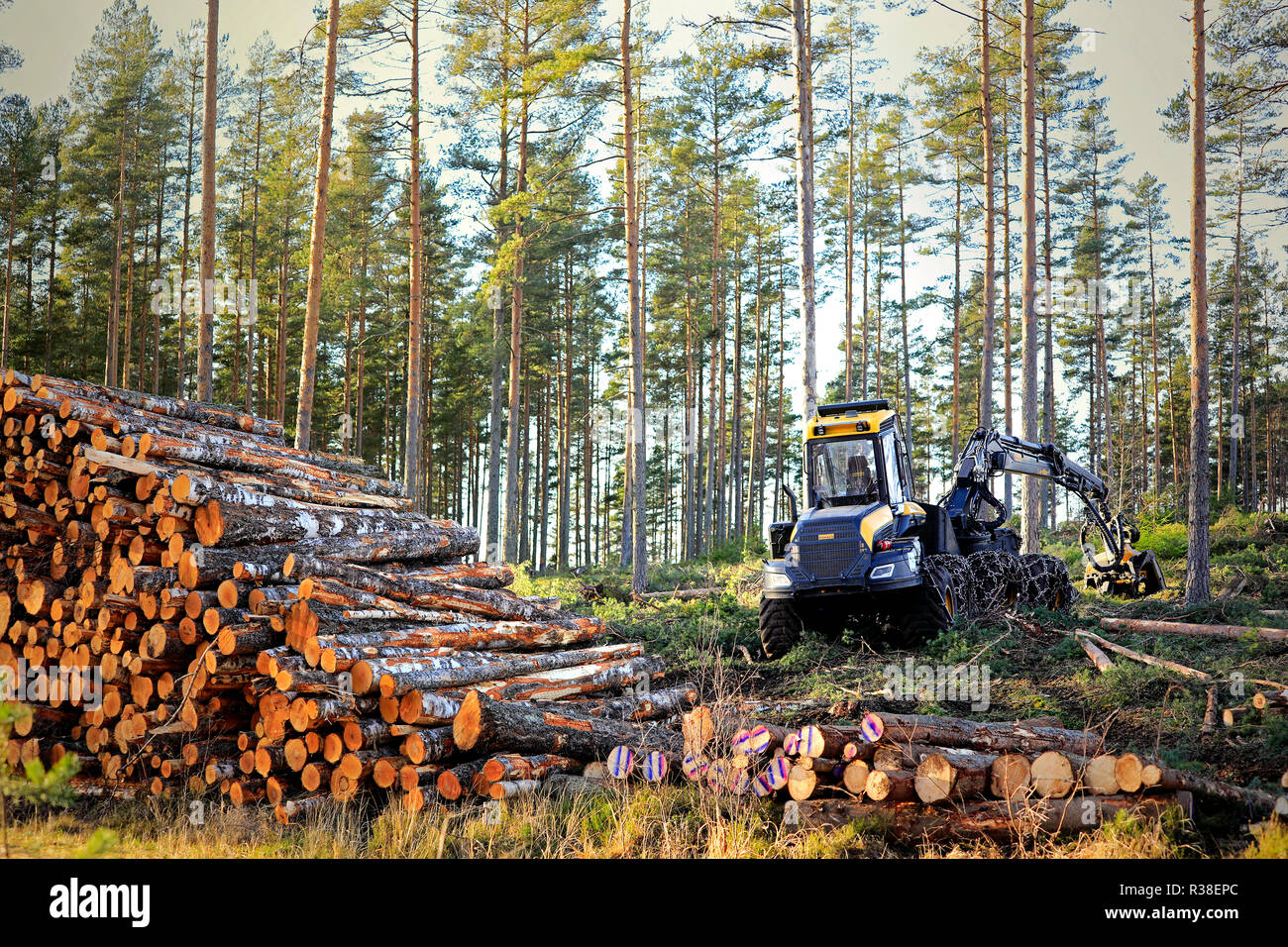 Timber technology hi-res stock photography and images - Alamy