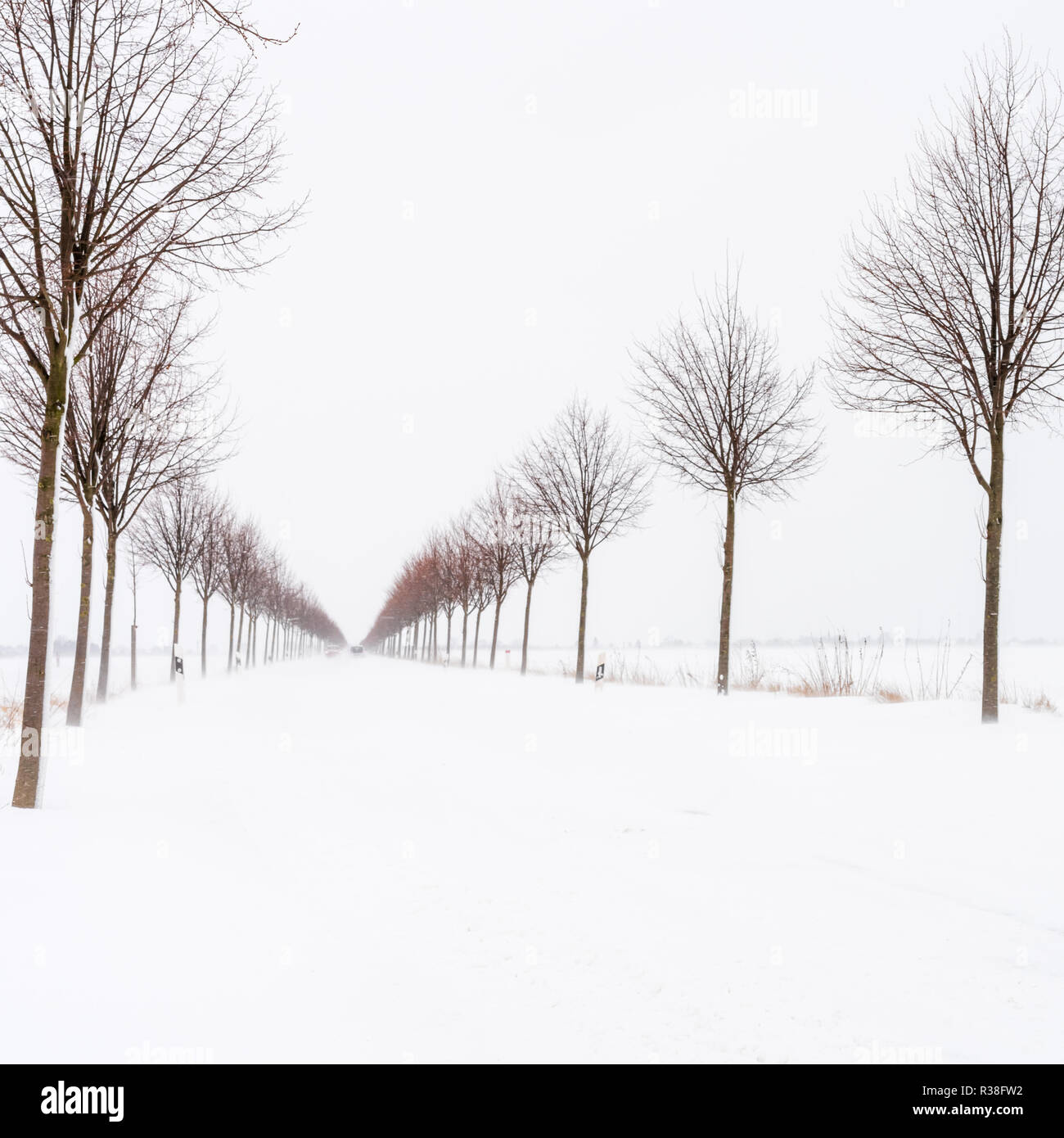 Snowstorm And Field And Road High Resolution Stock Photography and ...