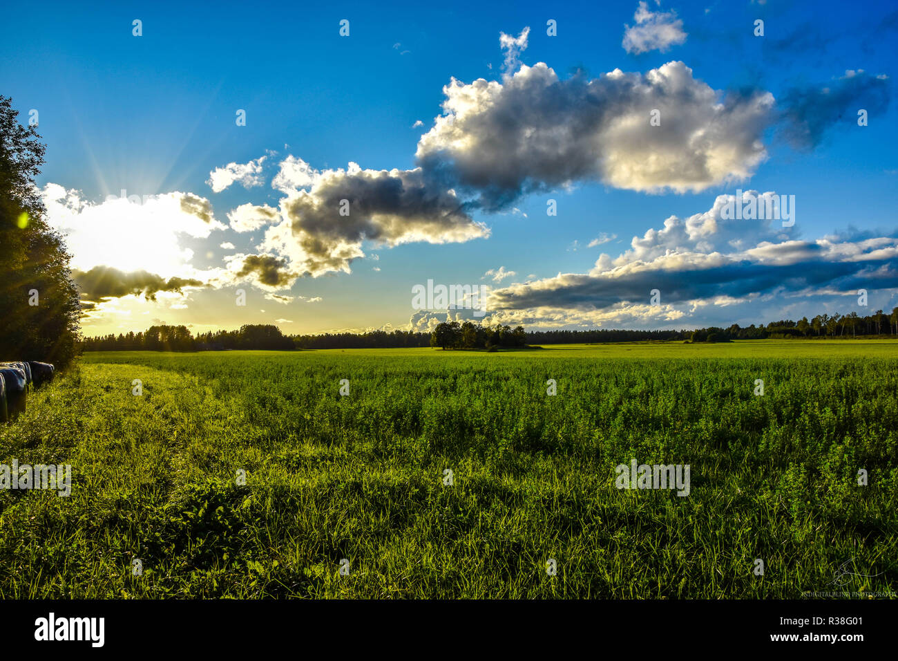 Snowblind High Resolution Stock Photography and Images - Alamy