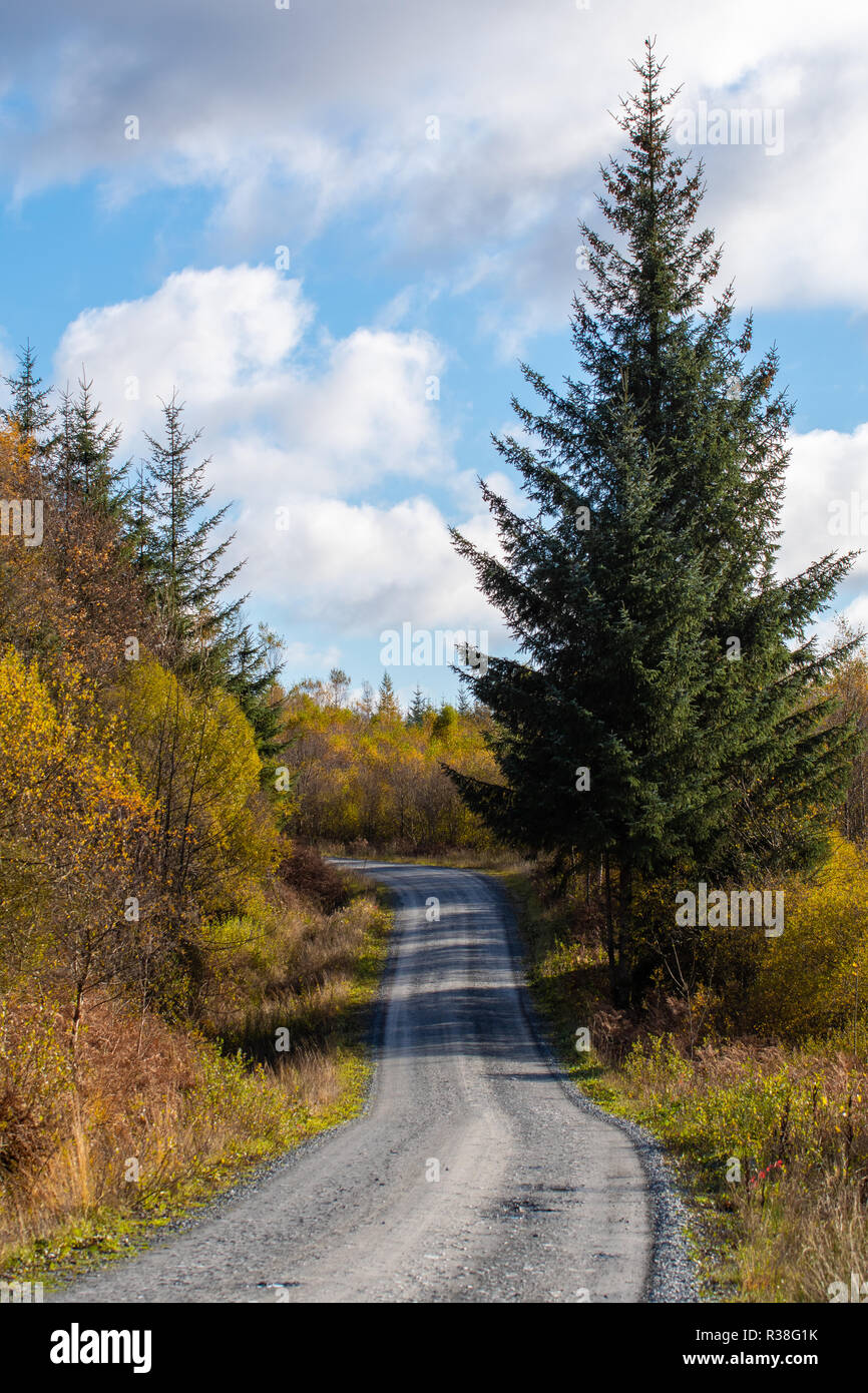 Views along the Raiders Road in the Galloway Forest Park during the ...