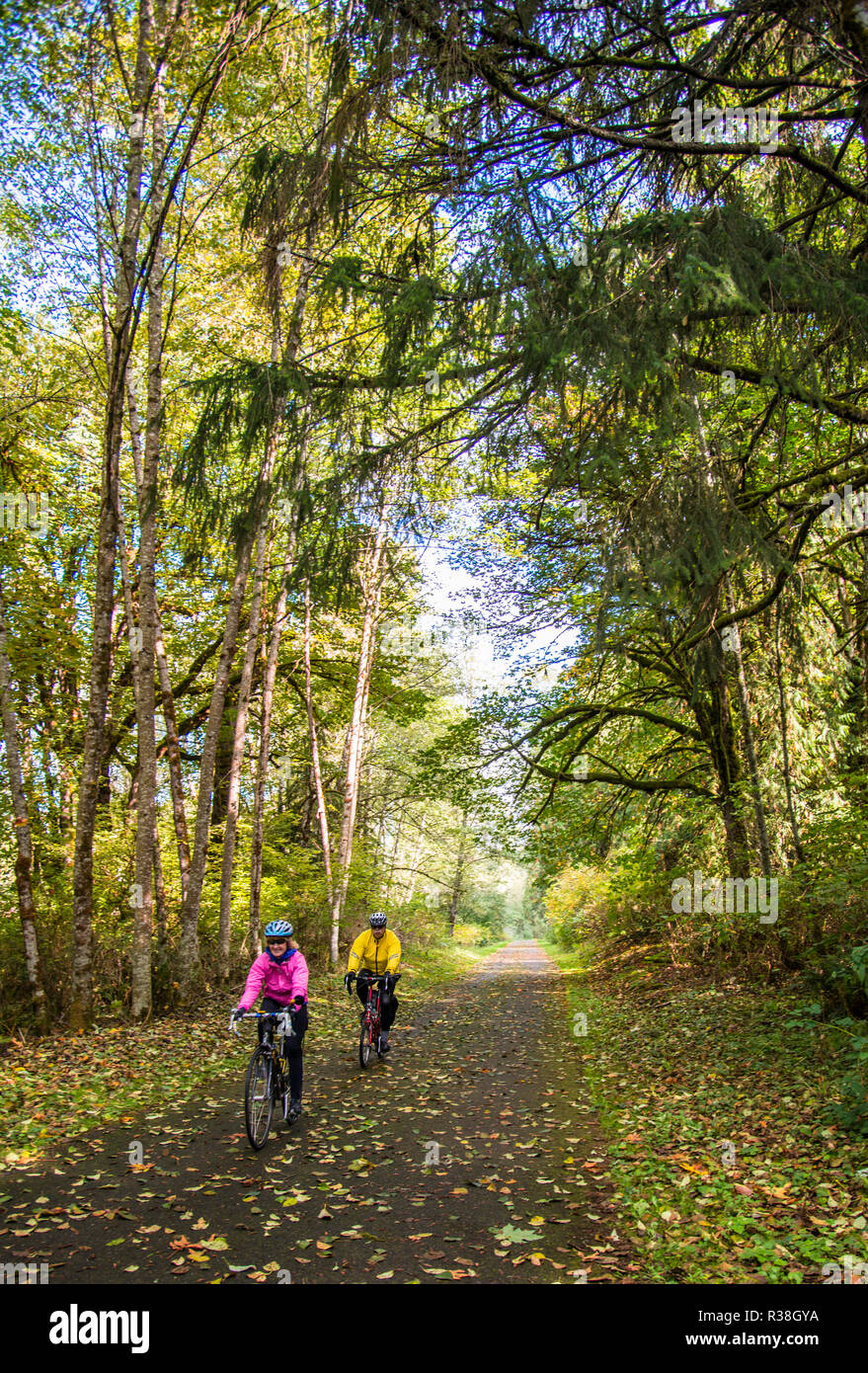 2 people riding bikes through the woods Stock Photo - Alamy