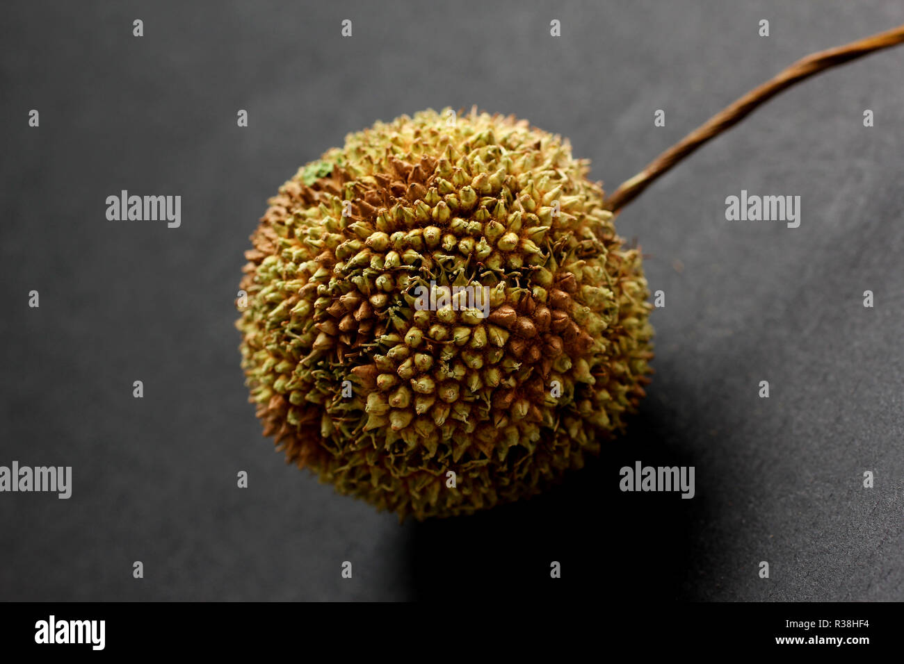 fruit of a plane ii Stock Photo - Alamy