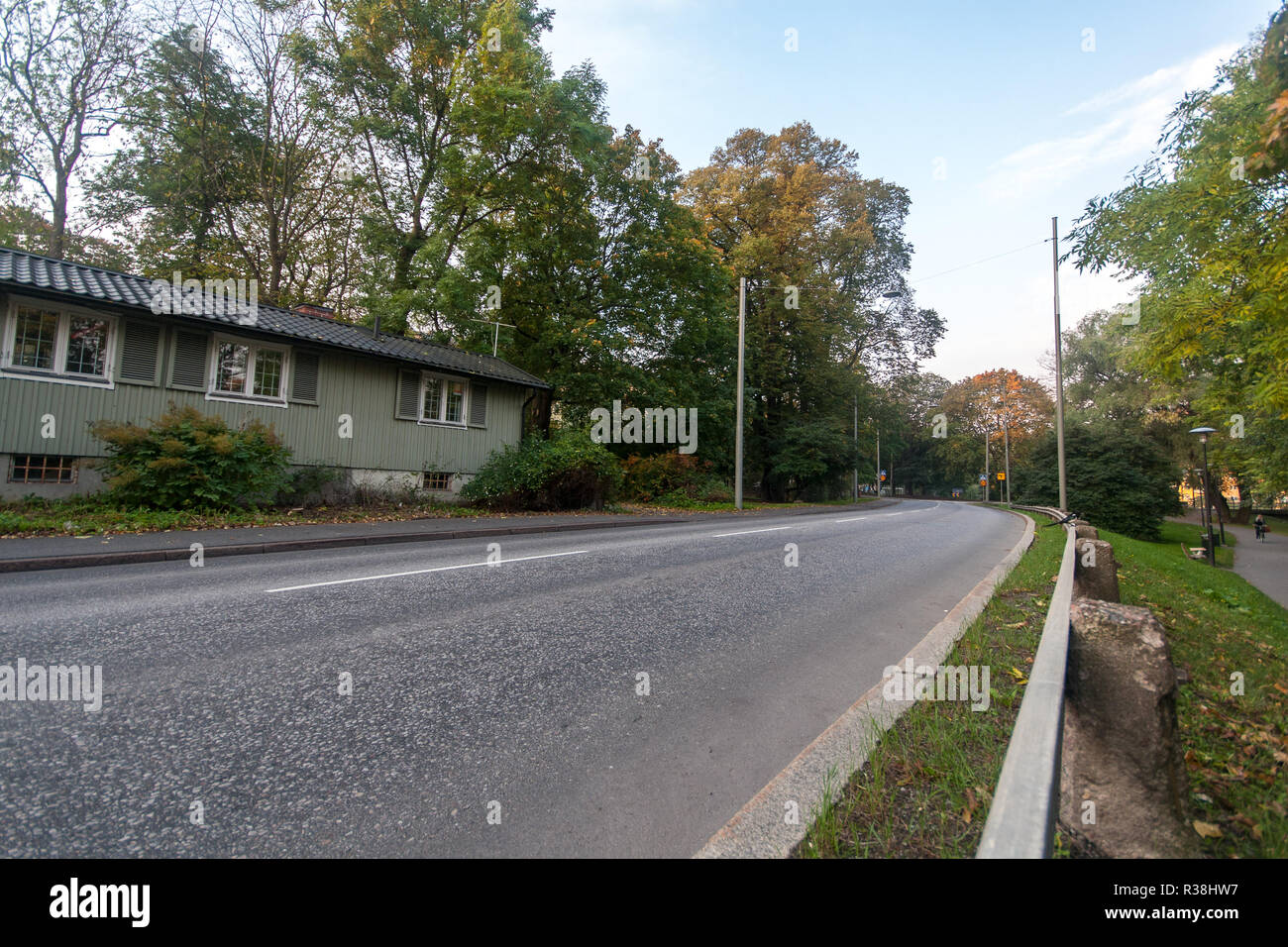 simple countryside forest road in perspective with foliage and trees ...