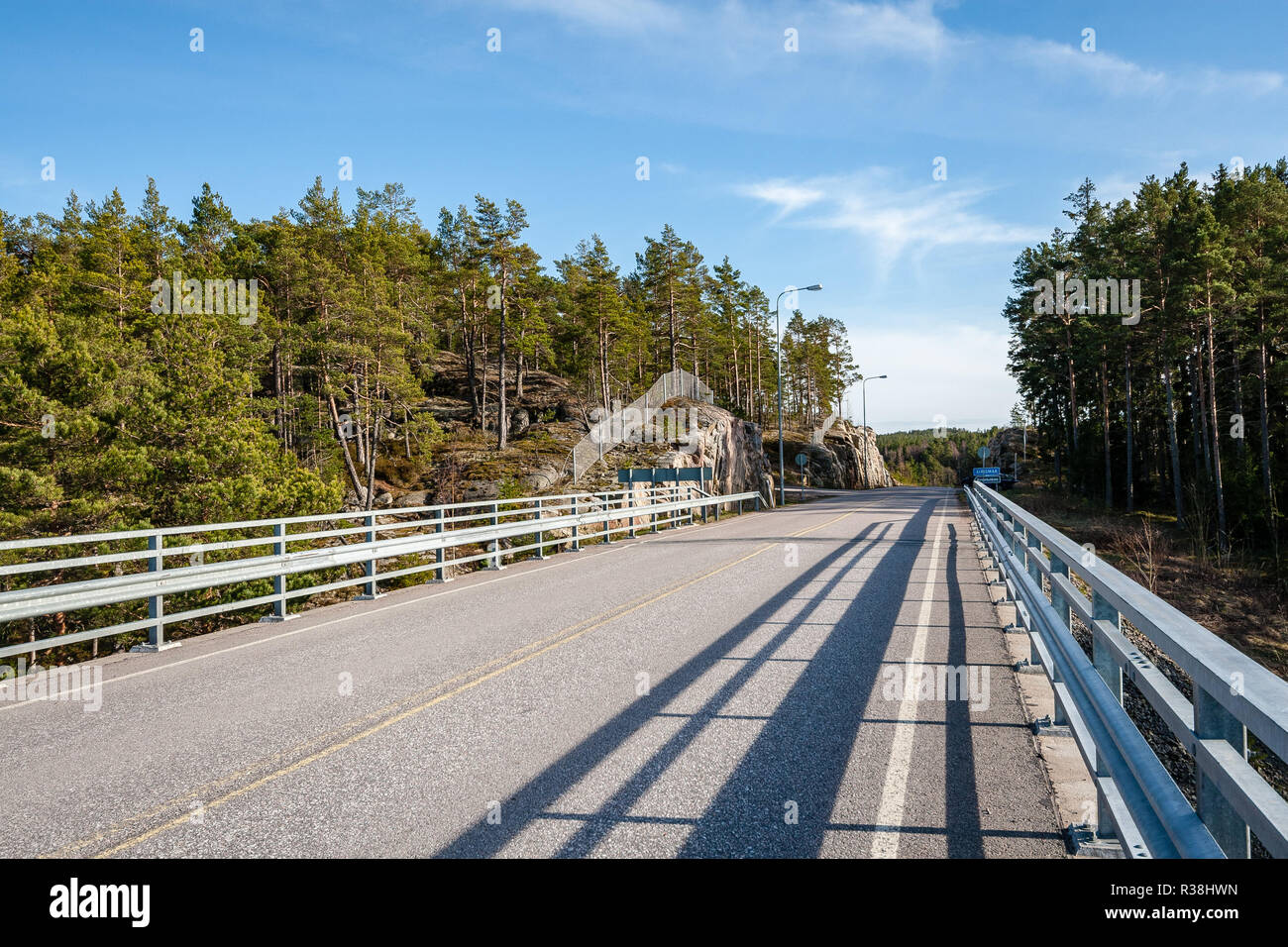 simple countryside forest road in perspective with foliage and trees ...