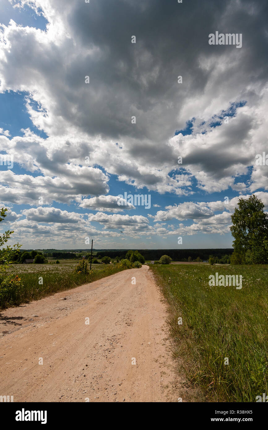 simple countryside forest road in perspective with foliage and trees ...
