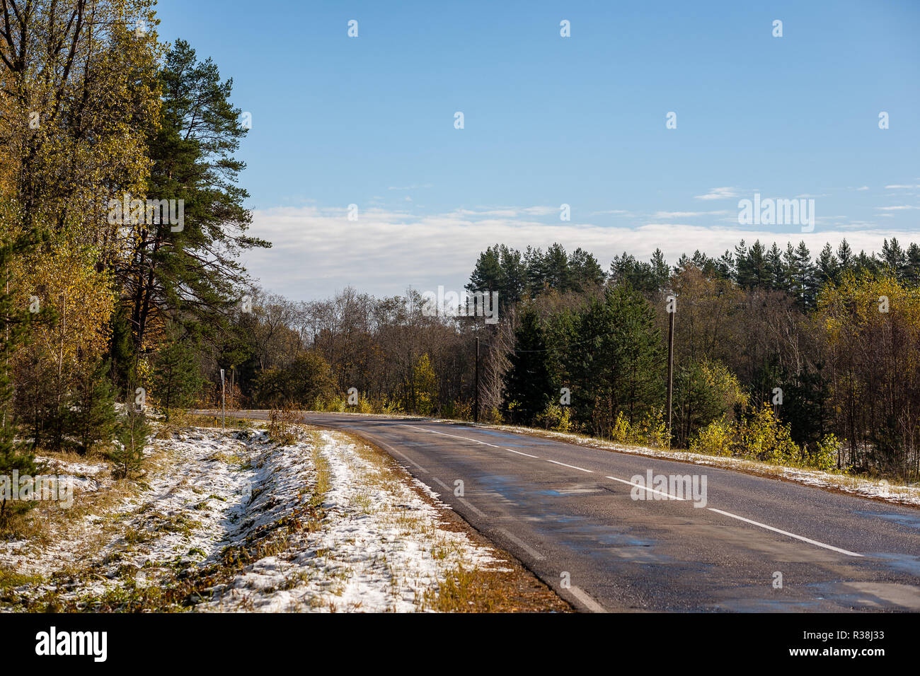 simple countryside forest road in perspective with foliage and trees ...