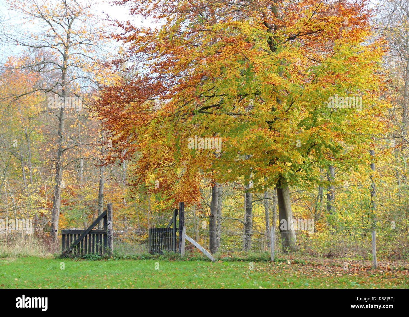 Deep Death Of Field High Resolution Stock Photography and Images - Alamy