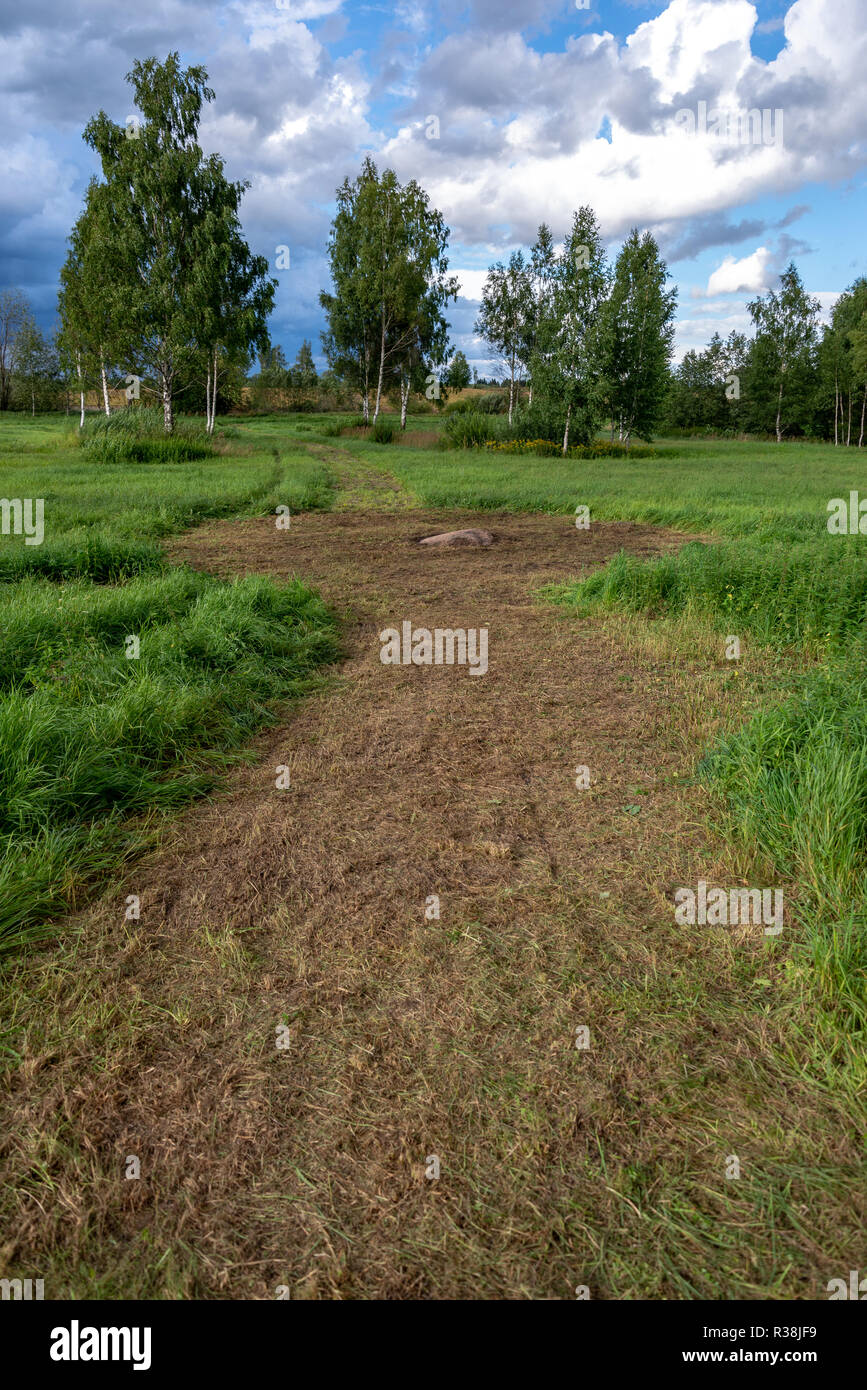 simple countryside forest road in perspective with foliage and trees ...