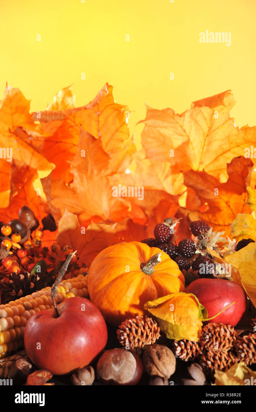 Acorn harvest festival hi-res stock photography and images - Alamy