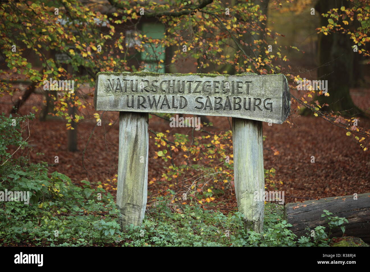 Nationalpark reinhardswald hi-res stock photography and images - Alamy