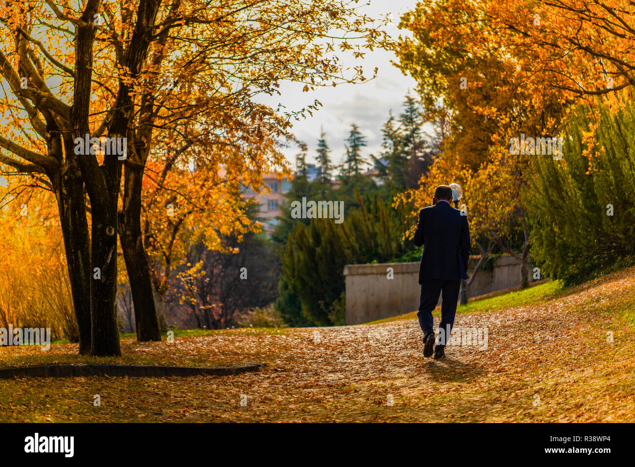 Man walking on the road (path, pathway, walkway) under trees in autumn ...