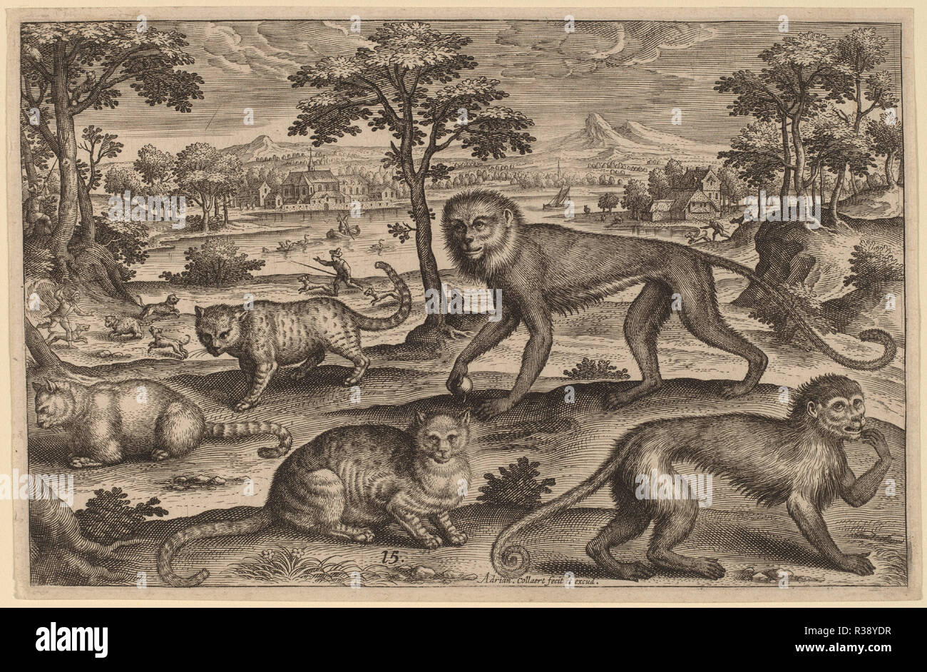 Adriaen collaert hi-res stock photography and images - Alamy
