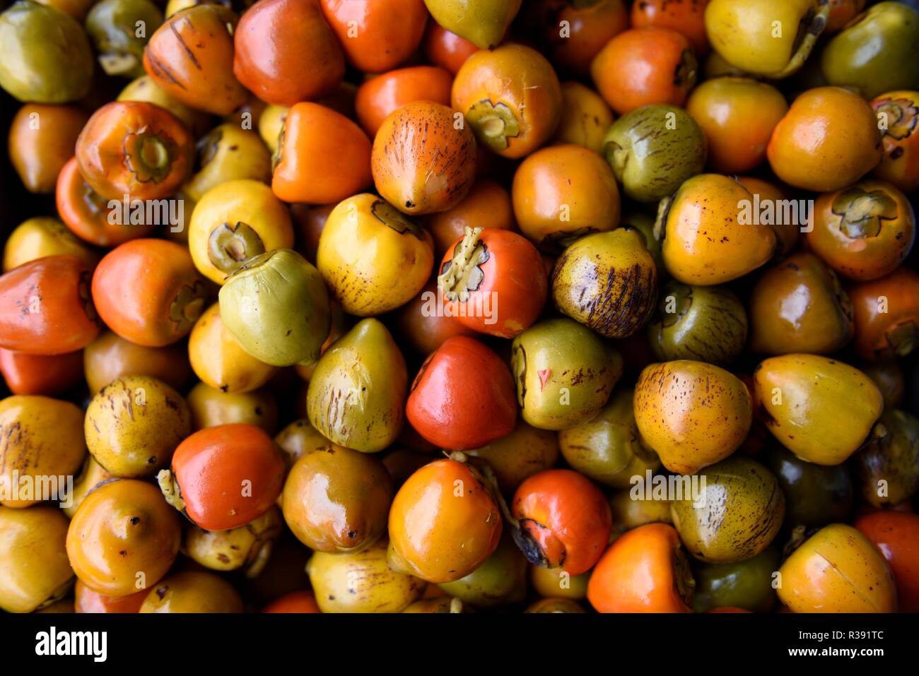 Peach palm hi-res stock photography and images - Alamy