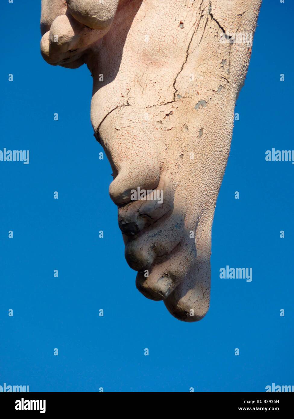 Human legs anatomy hi-res stock photography and images - Alamy
