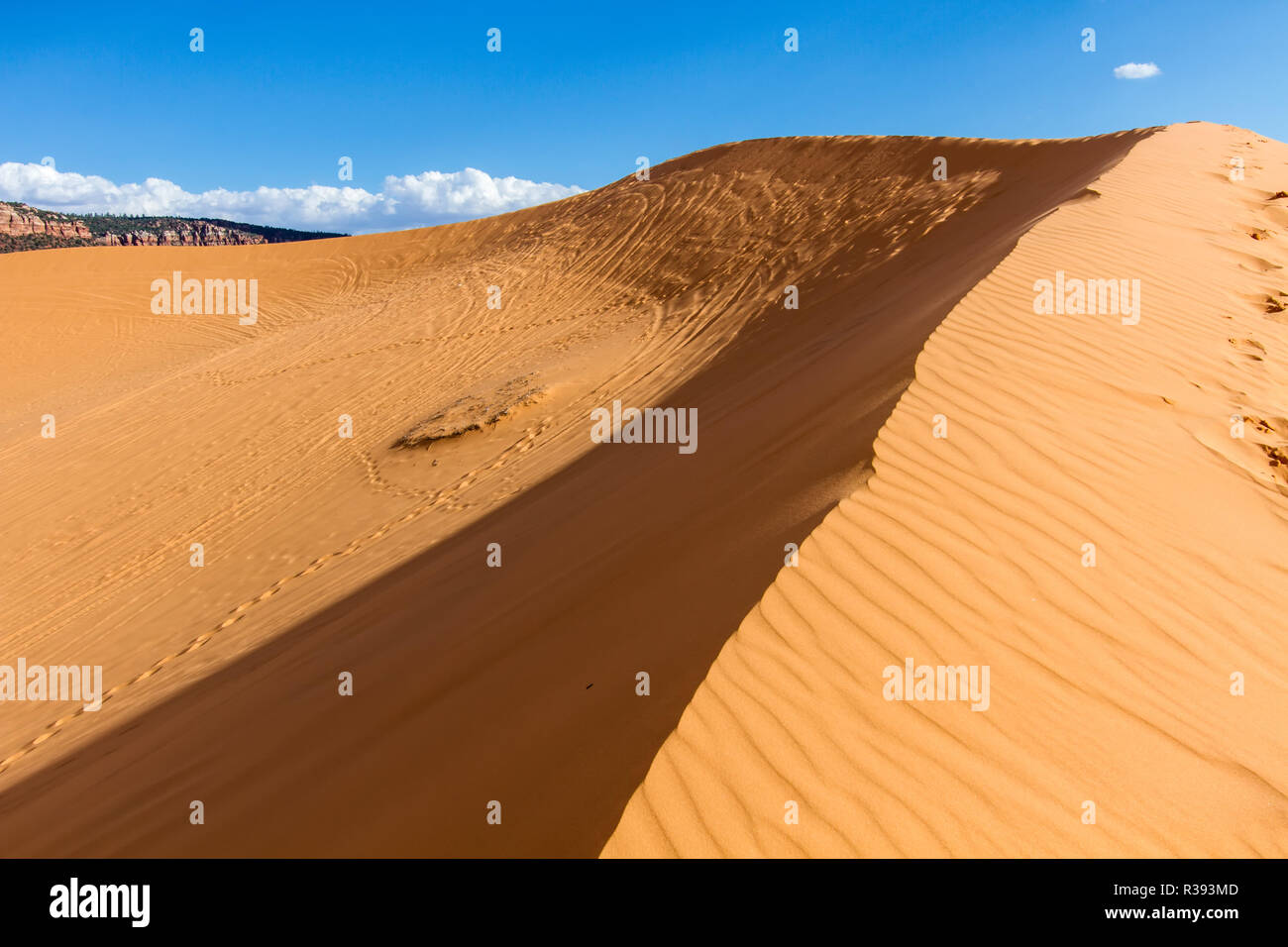 coral pink sand dunes 11 Stock Photo - Alamy