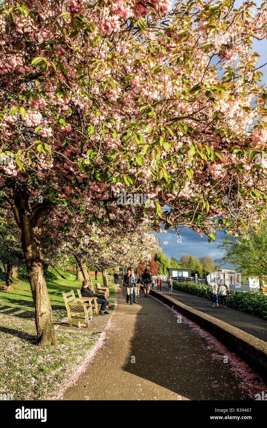 River in beautiful town of richmond hi-res stock photography and images ...