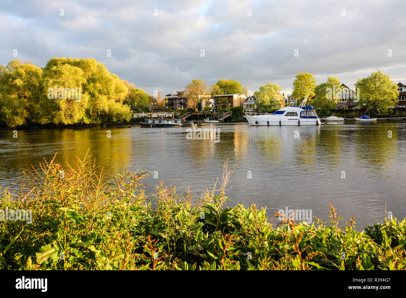 River Thames in Richmond, London, England, UK Stock Photo - Alamy