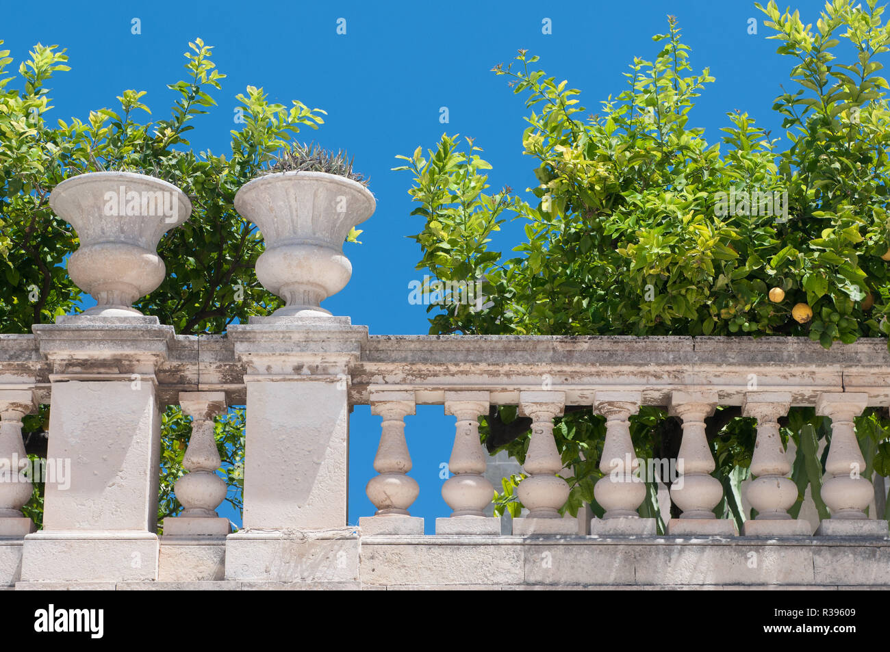 Lemon tree balcony hi-res stock photography and images - Alamy